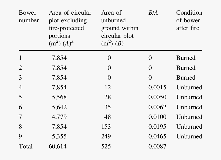 Number, HD Png Download , Transparent Png Image - PNGitem