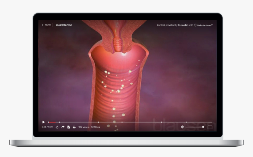 Svamp I Skeden, HD Png Download , Transparent Png Image - PNGitem