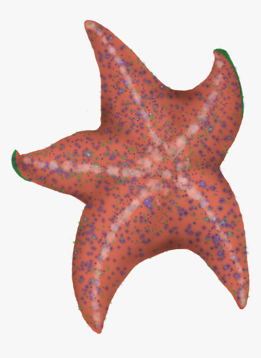 Starfish, HD Png Download , Transparent Png Image - PNGitem