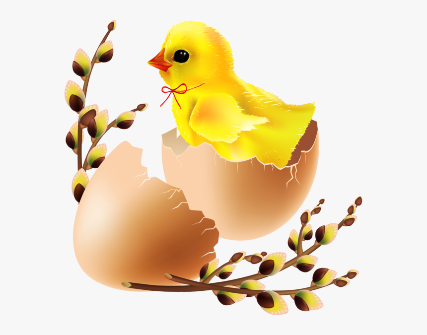 Transparent Easter Egg Water Bird Egg For Easter - Duck, HD Png ...