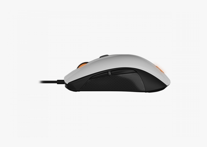 Mouse, HD Png Download , Transparent Png Image - PNGitem