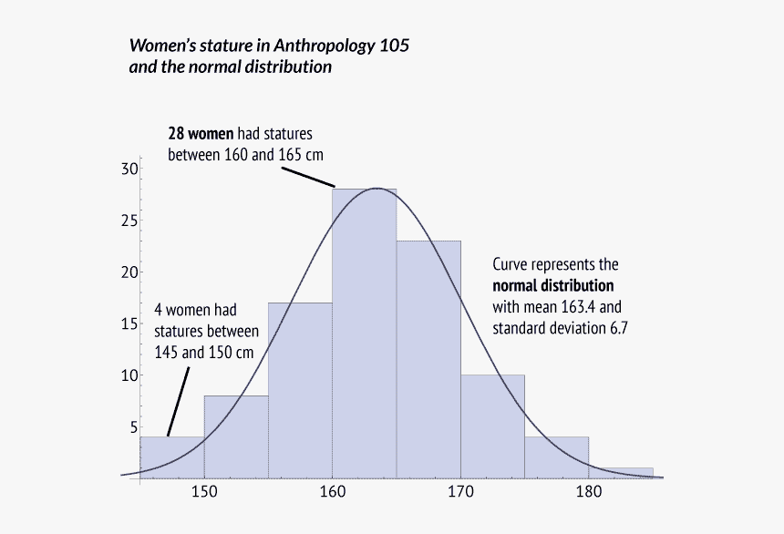 Histogram Of Heights Of Women, HD Png Download , Transparent Png Image ...