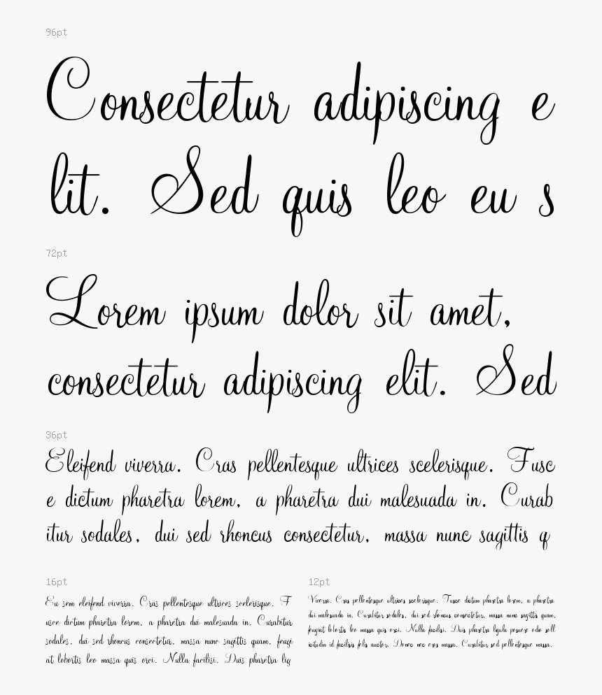 Amazone Font Style, HD Png Download , Transparent Png Image - PNGitem