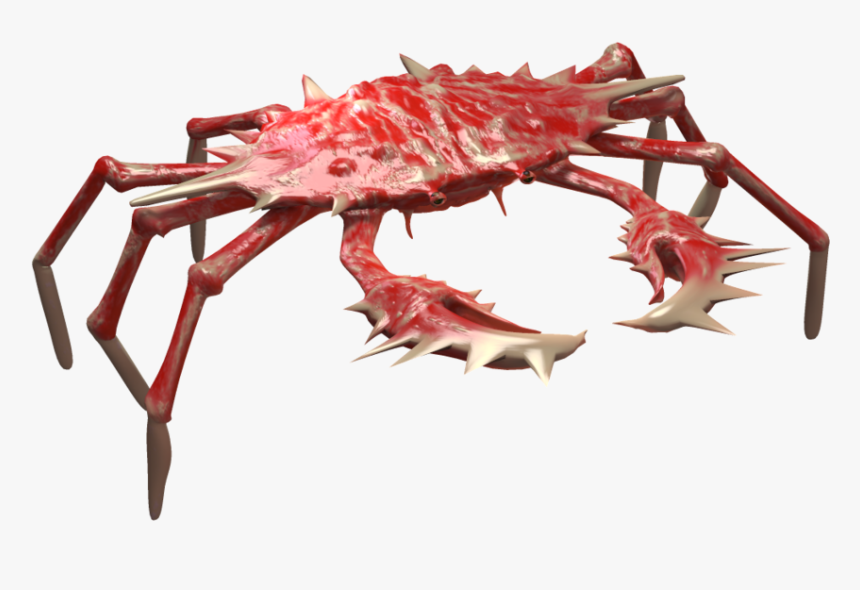 Crab Png No Background - Freshwater Crab, Transparent Png , Transparent ...