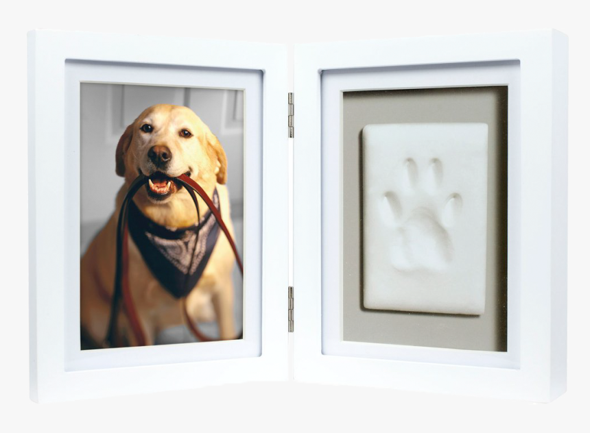 Shadow Box Pet Paw Print, HD Png Download , Transparent Png Image - PNGitem