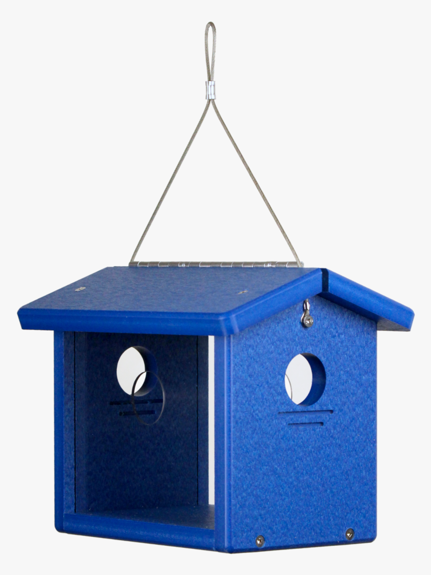 Perching Bird, HD Png Download , Transparent Png Image - PNGitem