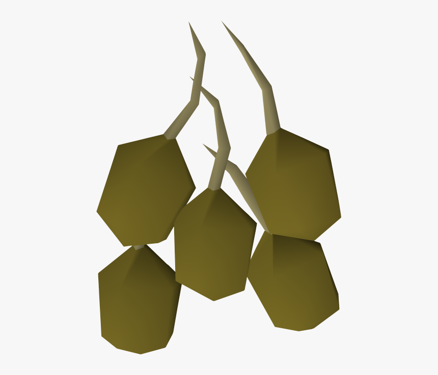 The Runescape Wiki - Potato Seeds Runescape, HD Png Download ...