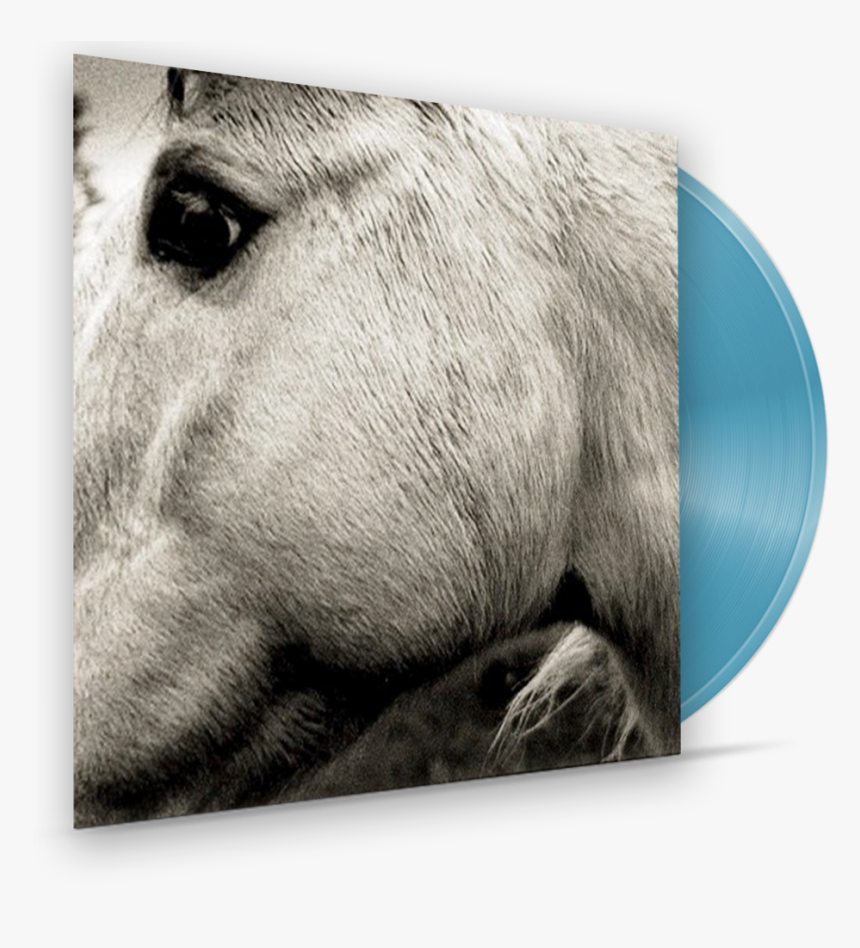 Bonny Light Horseman Album, HD Png Download , Transparent Png Image ...