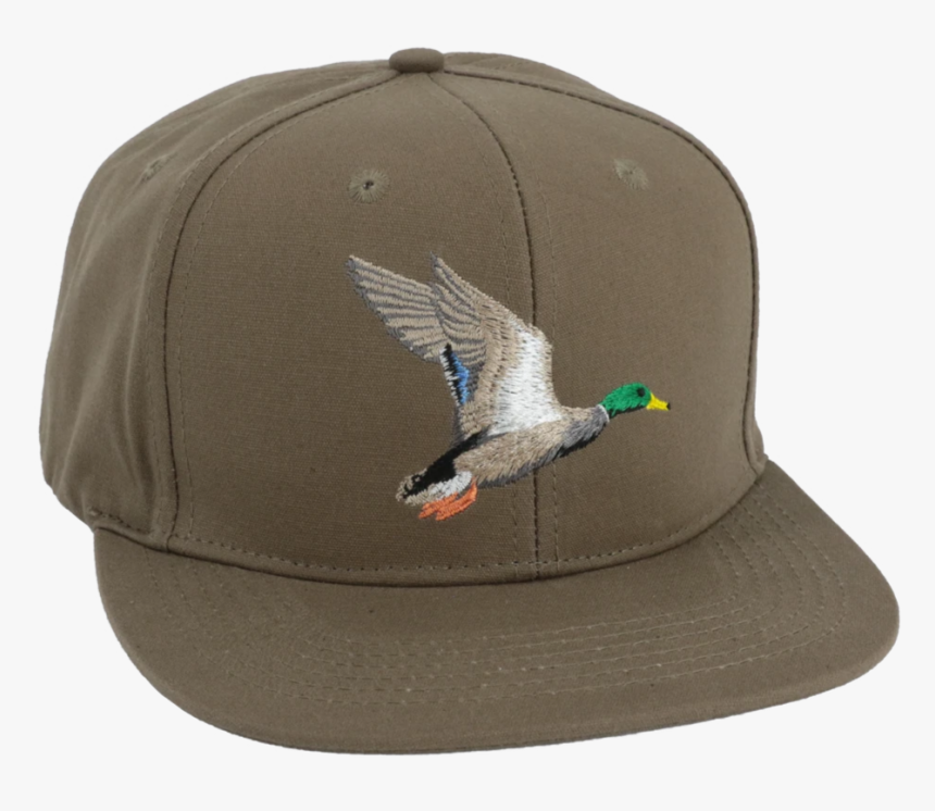 Mallard, HD Png Download , Transparent Png Image - PNGitem