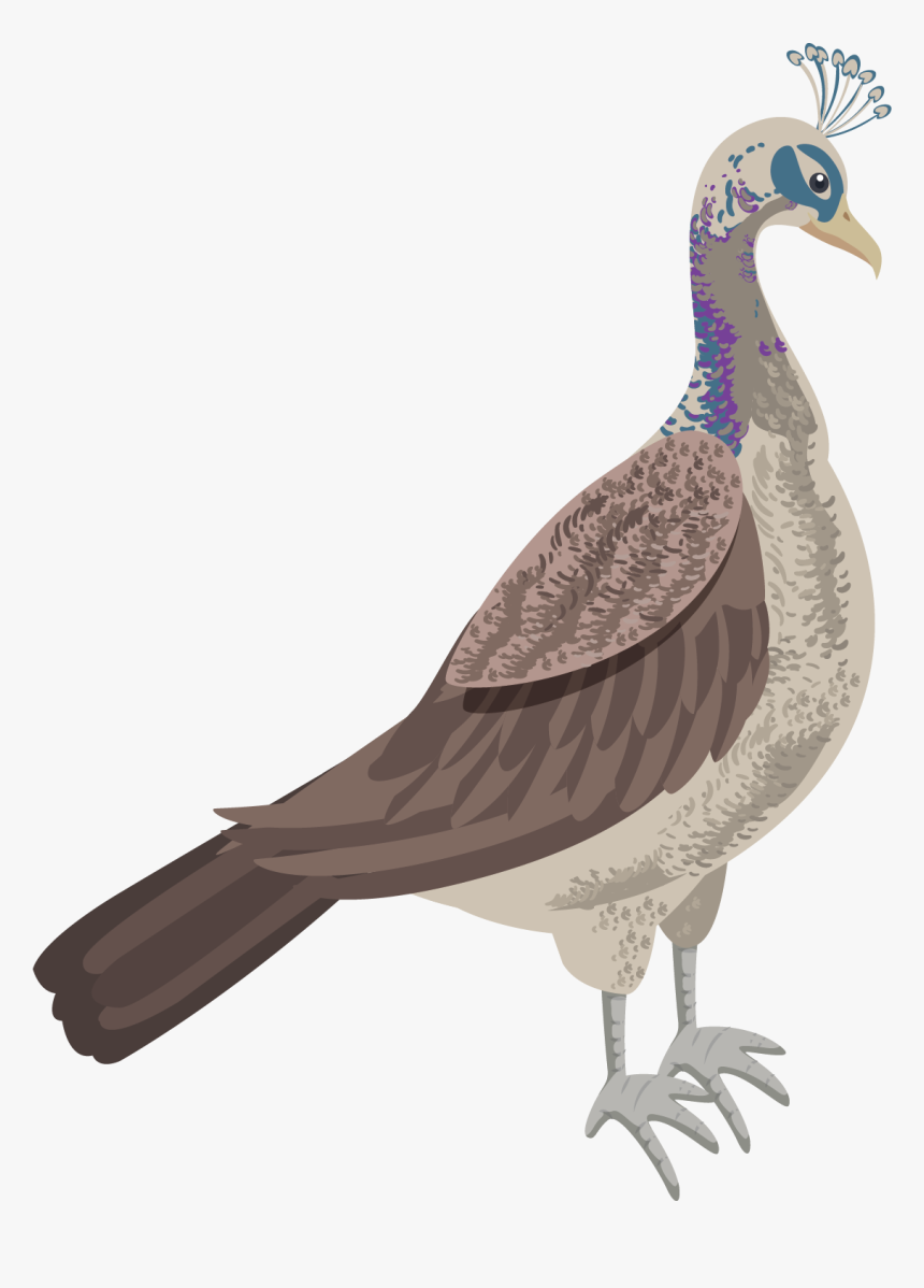 Wild Turkey, HD Png Download , Transparent Png Image - PNGitem