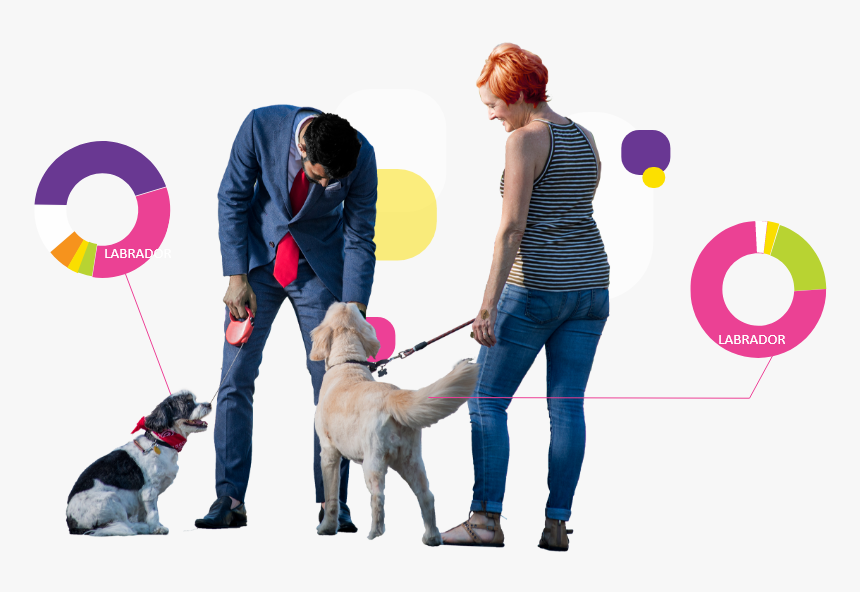 Companion Dog, HD Png Download , Transparent Png Image - PNGitem