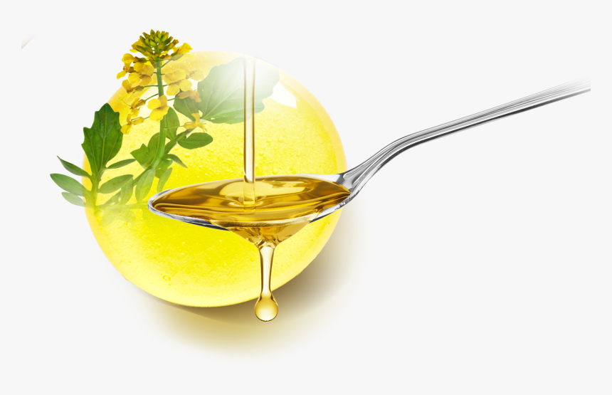 Healthiest Cooking Oils, HD Png Download , Transparent Png Image - PNGitem