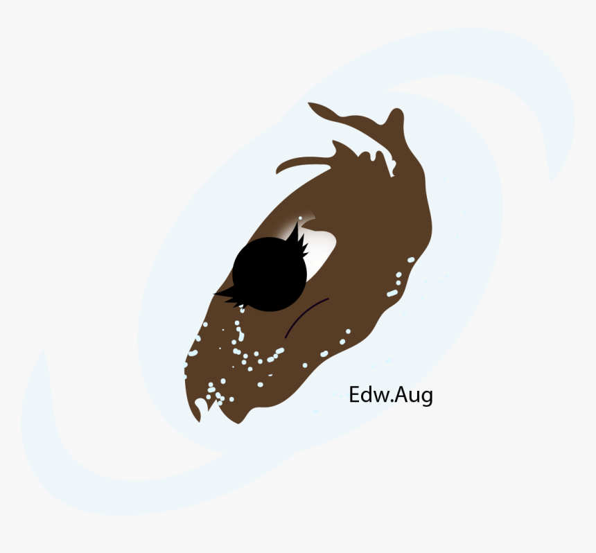 Simple Cosmos Official Wiki - Illustration, HD Png Download ...