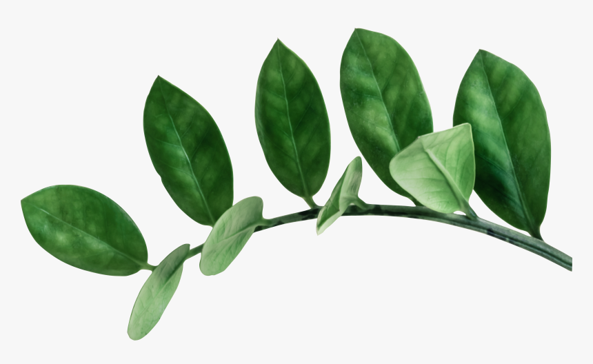 Minimal Leaf, HD Png Download , Transparent Png Image - PNGitem
