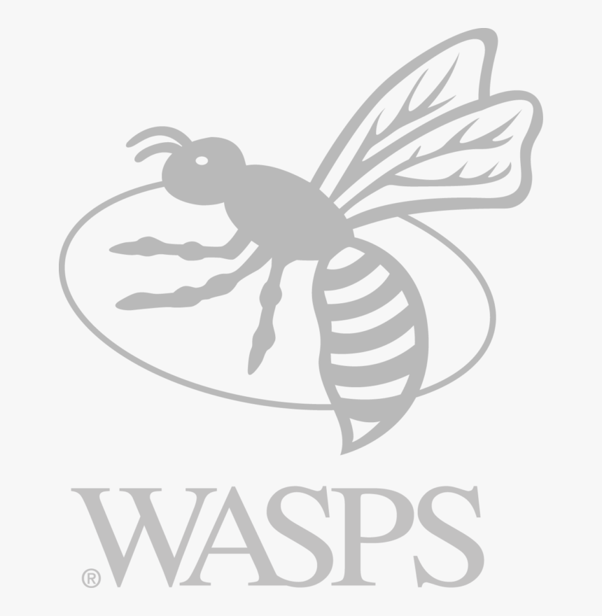 London Wasps Logo, HD Png Download , Transparent Png Image - PNGitem