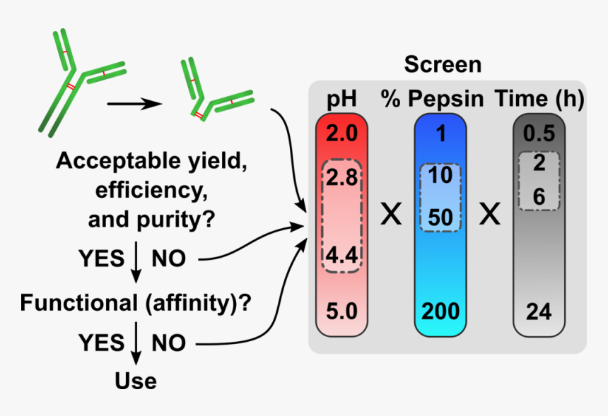 Kinman Abstract Toc Figure, HD Png Download , Transparent Png Image ...