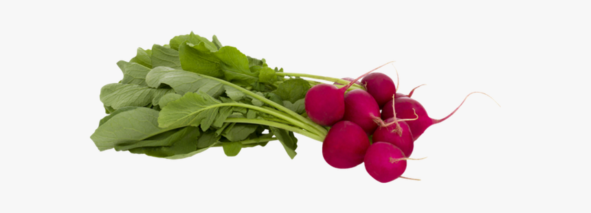 Radishes Png, Transparent Png , Transparent Png Image - PNGitem