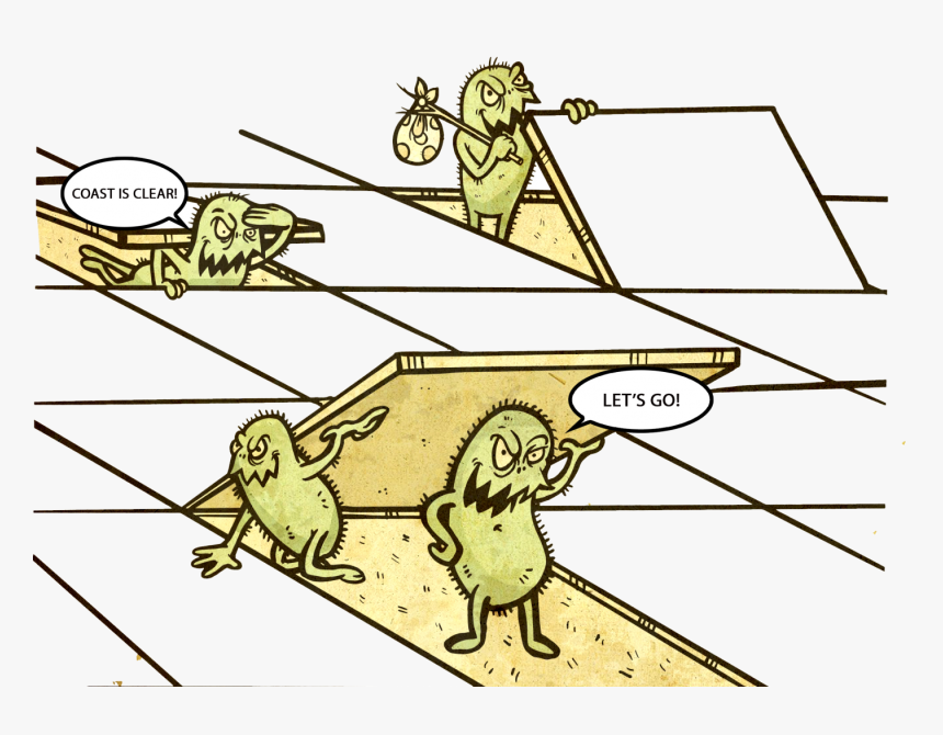 Bacteria Recolonization - Cartoon, HD Png Download , Transparent Png ...