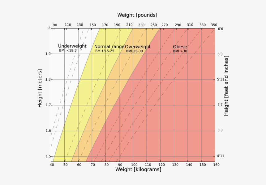Weight Height Chart, HD Png Download , Transparent Png Image - PNGitem
