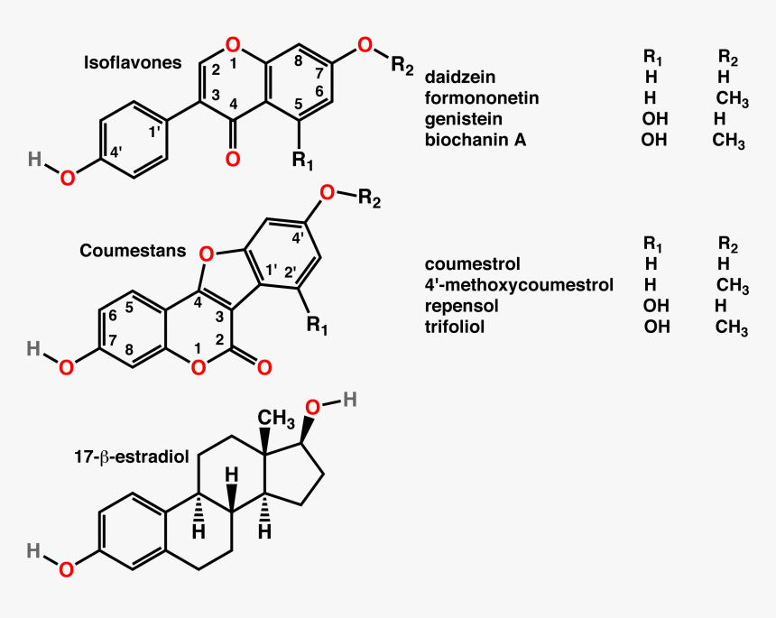 Soy Protein Isolate Structure, HD Png Download , Transparent Png Image - PNGitem