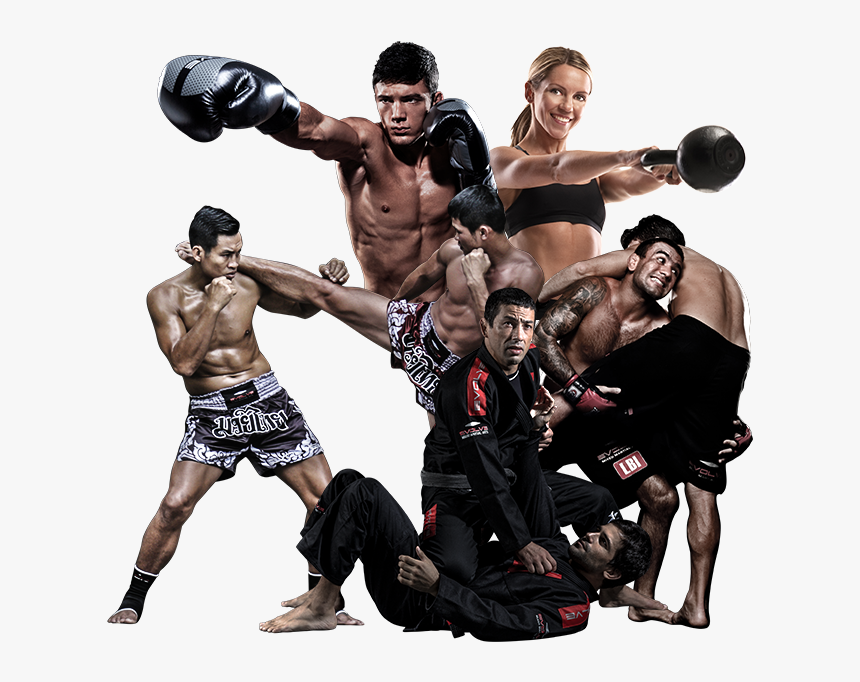 Transparent Fight Png - Mixed Martial Arts Png, Png Download ...