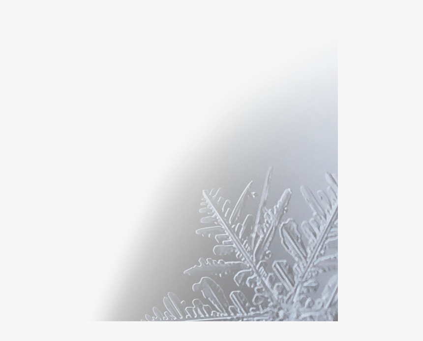 Frost, HD Png Download , Transparent Png Image - PNGitem