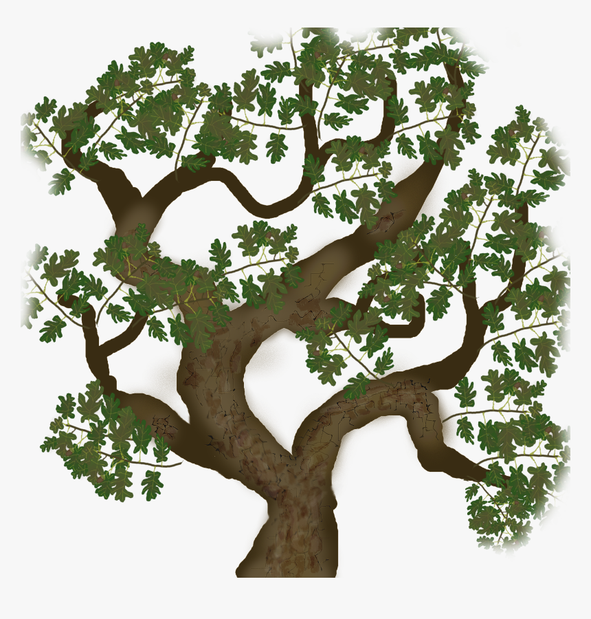 Tree Bark Texture Png, Transparent Png , Transparent Png Image - PNGitem