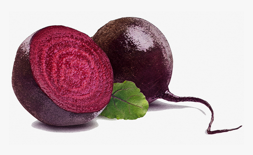 Transparent Beet Png, Png Download , Transparent Png Image - PNGitem