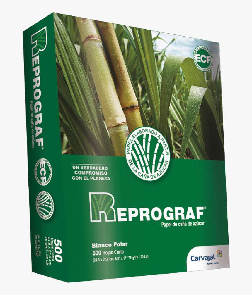 Transparent Hojas De Papel Png - Papel Reprograf, Png Download ...
