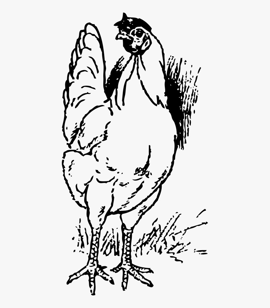 Chicken Svg Clip Arts - Chicken, HD Png Download , Transparent Png ...