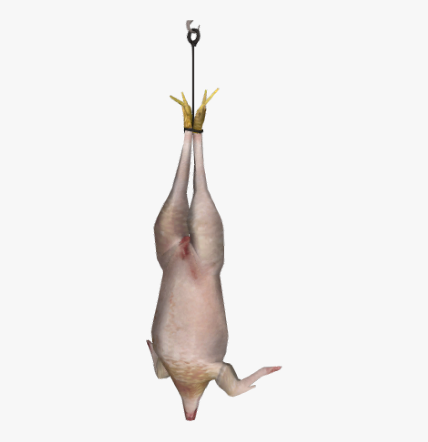 Dead Chicken Png, Transparent Png , Transparent Png Image - PNGitem