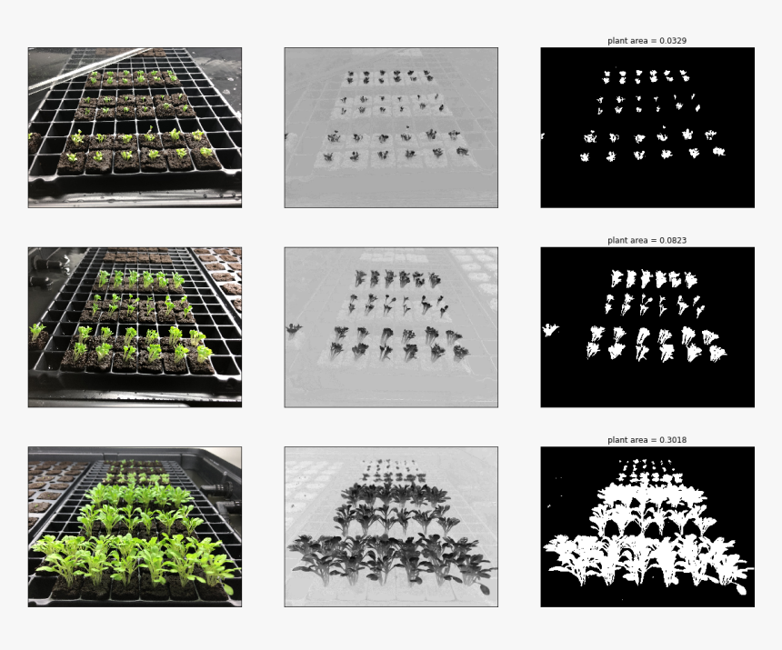 Alt Text - Cage, HD Png Download , Transparent Png Image - PNGitem