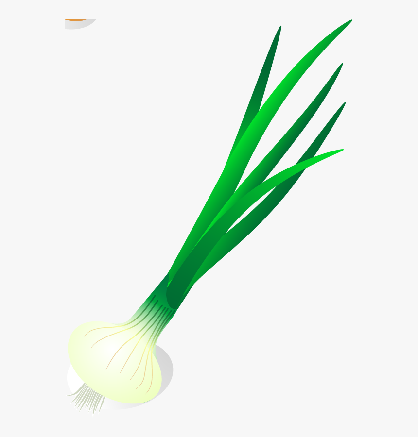 Welsh Onion, HD Png Download , Transparent Png Image - PNGitem