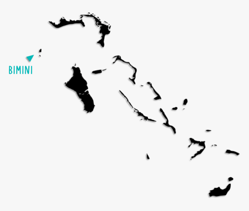 New Moore Island India, HD Png Download , Transparent Png Image - PNGitem