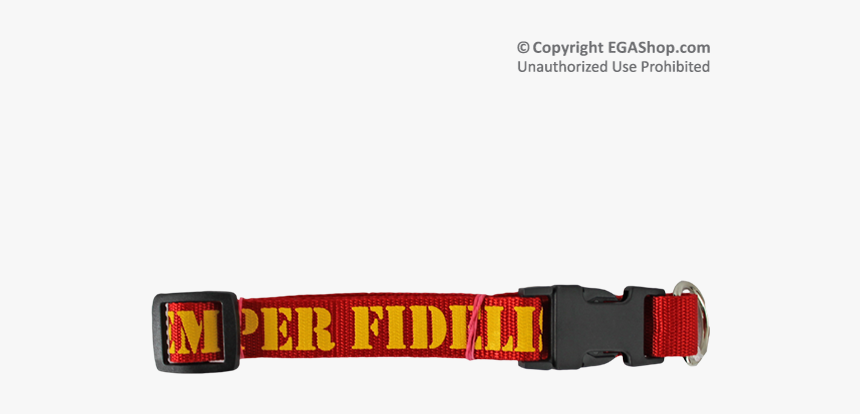 Fernandino First, HD Png Download , Transparent Png Image - PNGitem