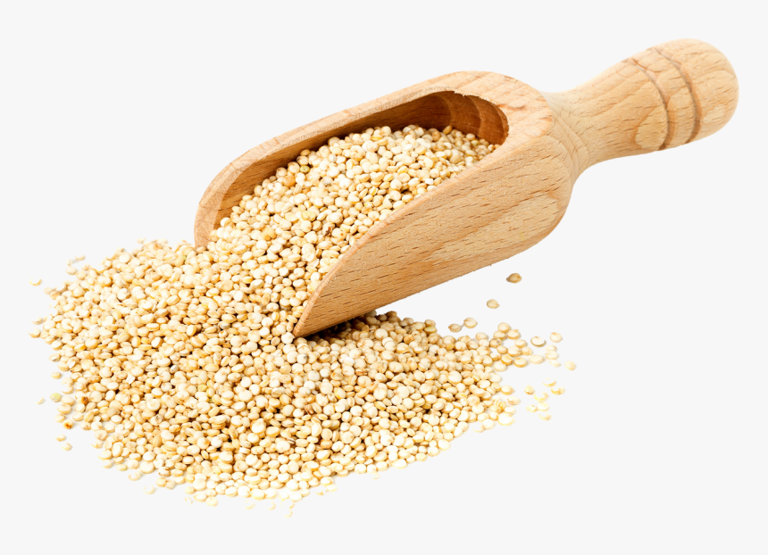 Sesame, HD Png Download , Transparent Png Image - PNGitem