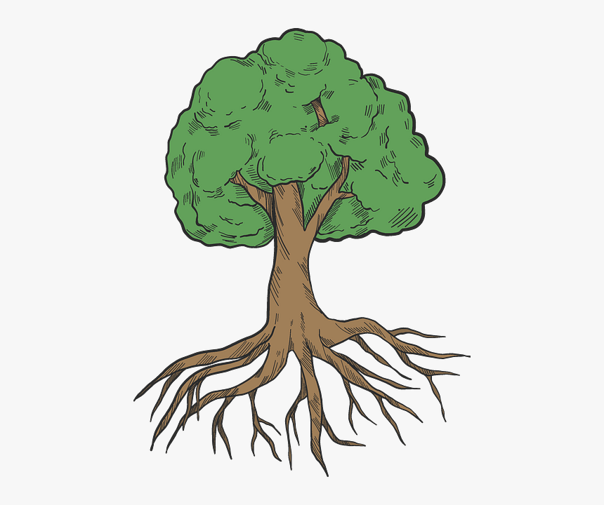 Post Oak, HD Png Download , Transparent Png Image - PNGitem