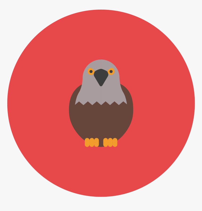 This Icon Represents A Falcon - Hawk, HD Png Download , Transparent Png ...