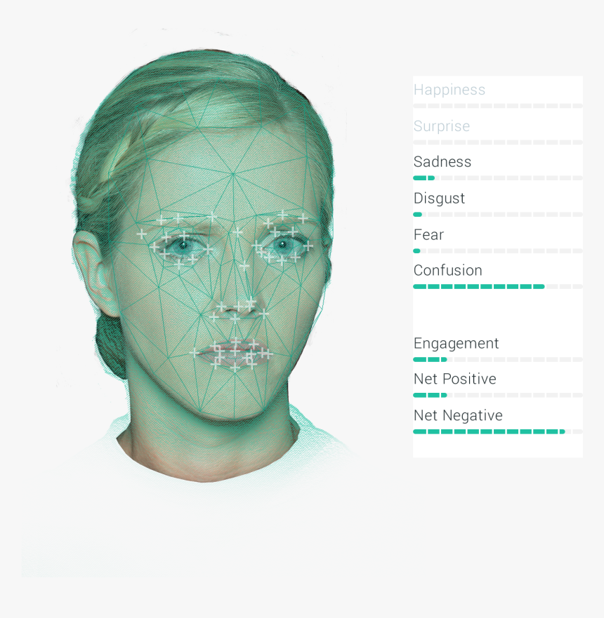 Human, HD Png Download , Transparent Png Image - PNGitem