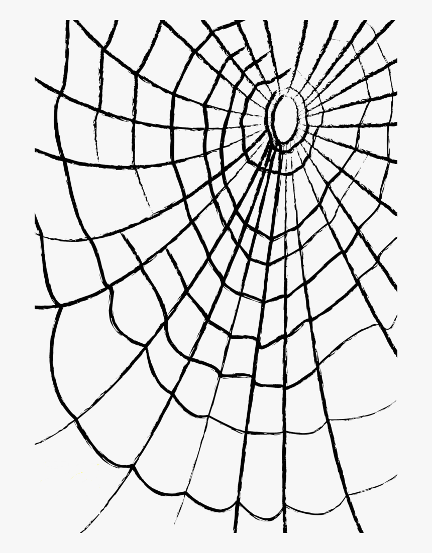 Cobweb Drawing Png, Transparent Png , Transparent Png Image - PNGitem