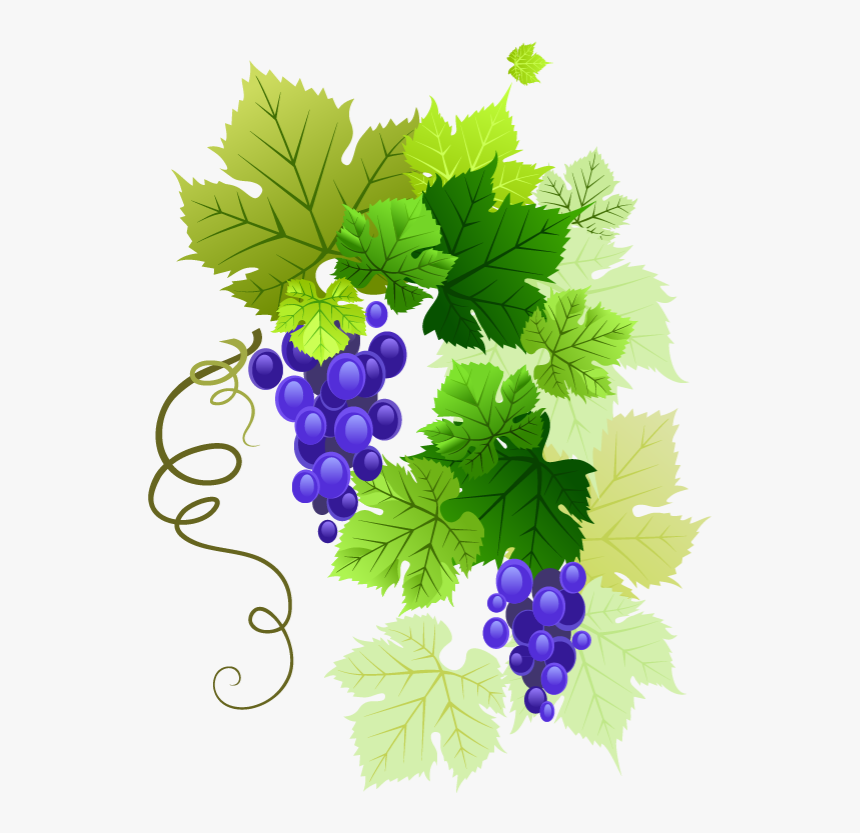 Grape Vine Corner Border