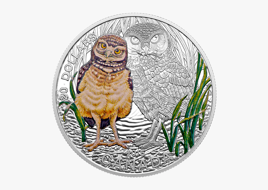 Burrowing Owl Coin, HD Png Download , Transparent Png Image - PNGitem