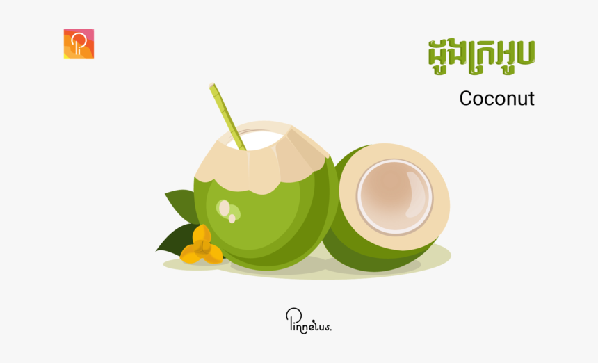 Coconut Coconut Vector - Coconut Vector Png, Transparent Png ...