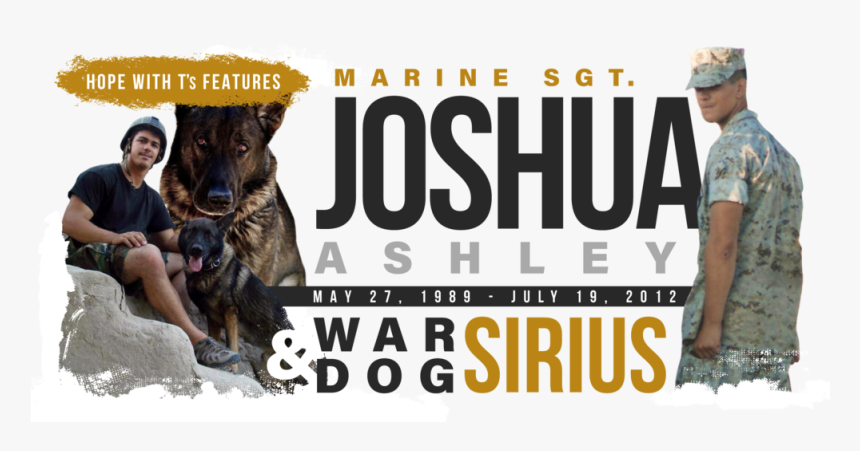 Header, HD Png Download , Transparent Png Image - PNGitem