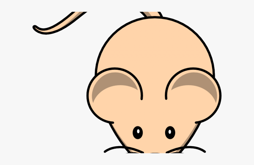 Transparent Computer Mouse Clipart - Mouse Clipart Transparent ...