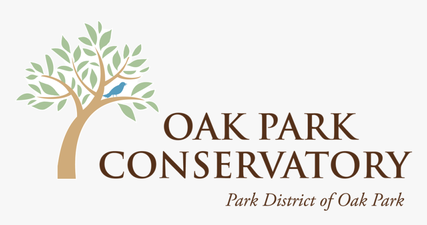 Conservatory Logo - St Joseph Mercy Ann Arbor Logo, HD Png Download ...