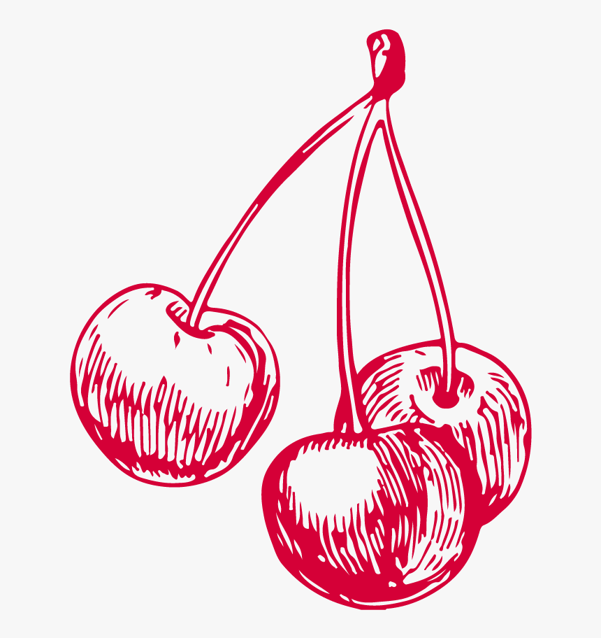 Cherry Vector Png