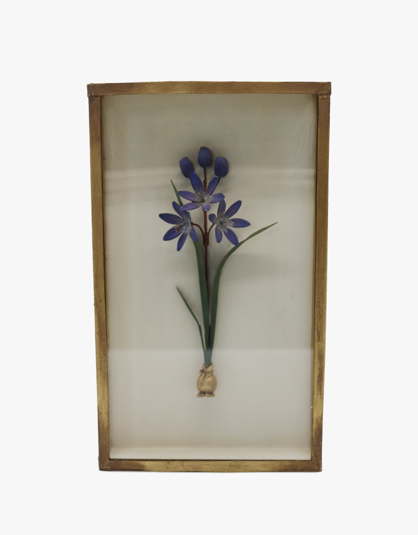 Purple Flower Shadow Box Srcset //cdn - Camas, HD Png Download ...