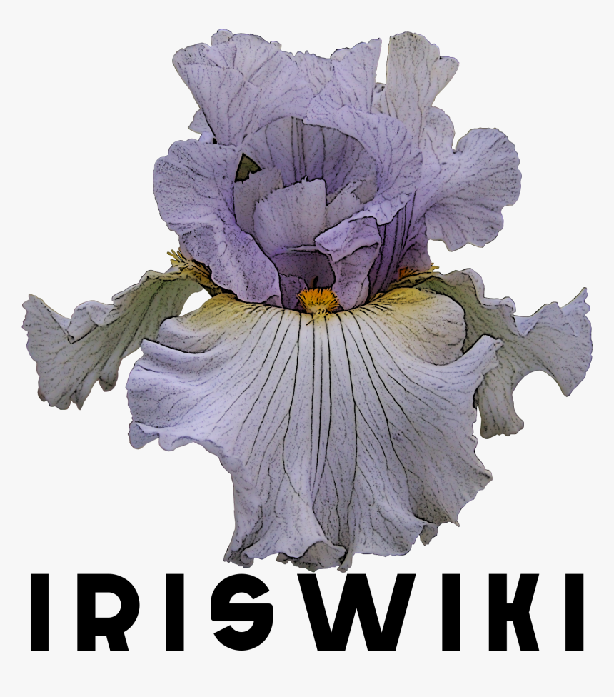 File - Logoiriswiki - Orris Root, HD Png Download , Transparent Png ...
