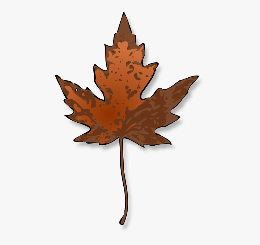 Maple Leaf Autumn - Maple Leaf Clip Art, HD Png Download , Transparent ...